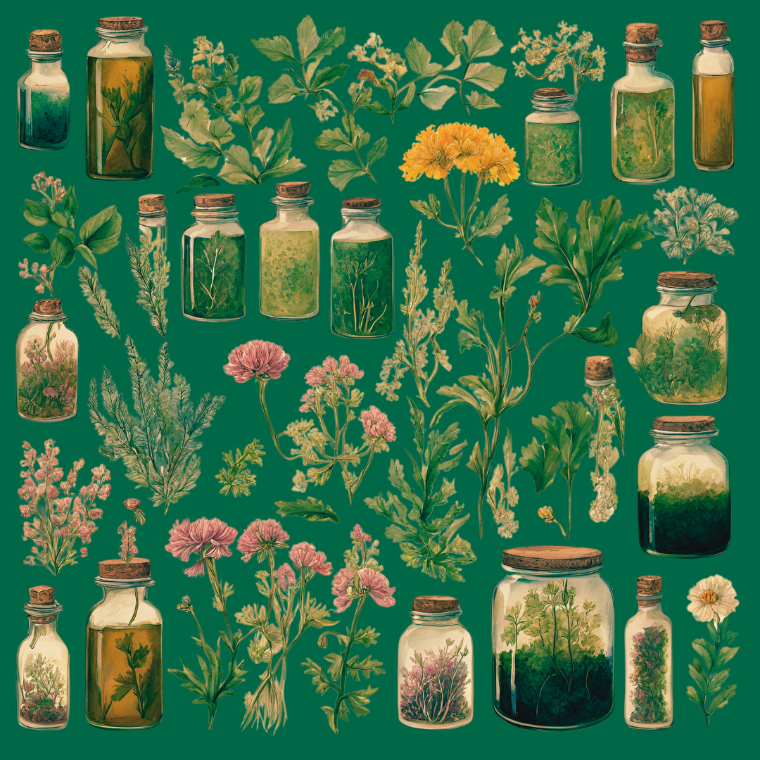 Natural Remedies – Forage Folk