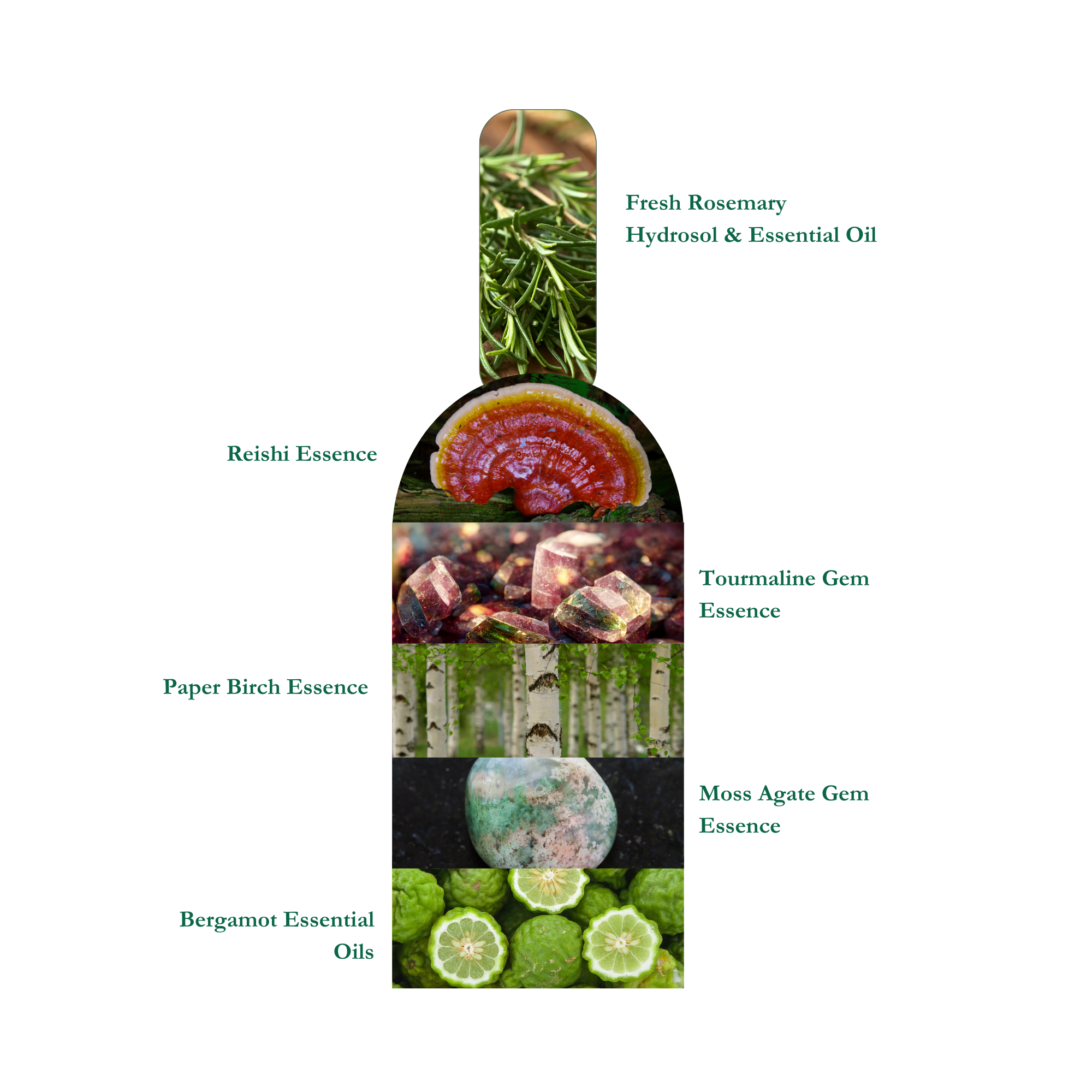 Earth Spray for Grounding with Birch Essence – Forage Folk