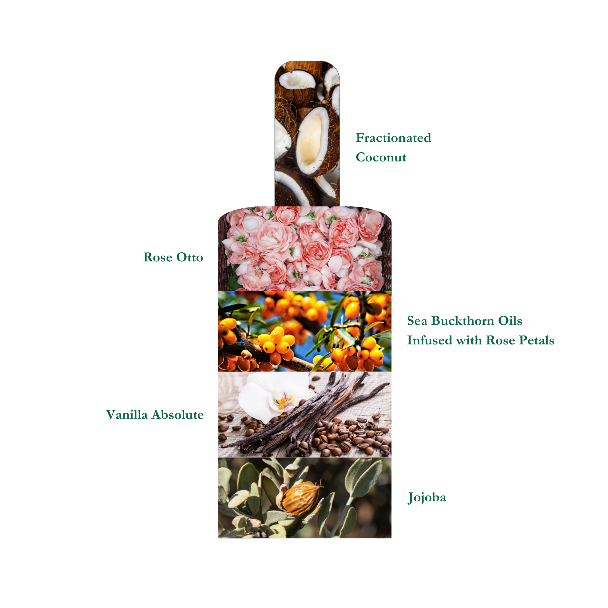 Call of the Heart Body Oil with Organic Roses – Forage Folk